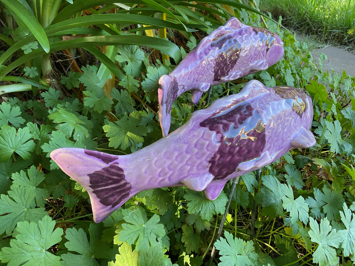 Koi Fish - Taro, Ceramic Garden Sculpture by JJ Potts – GardenArt.com