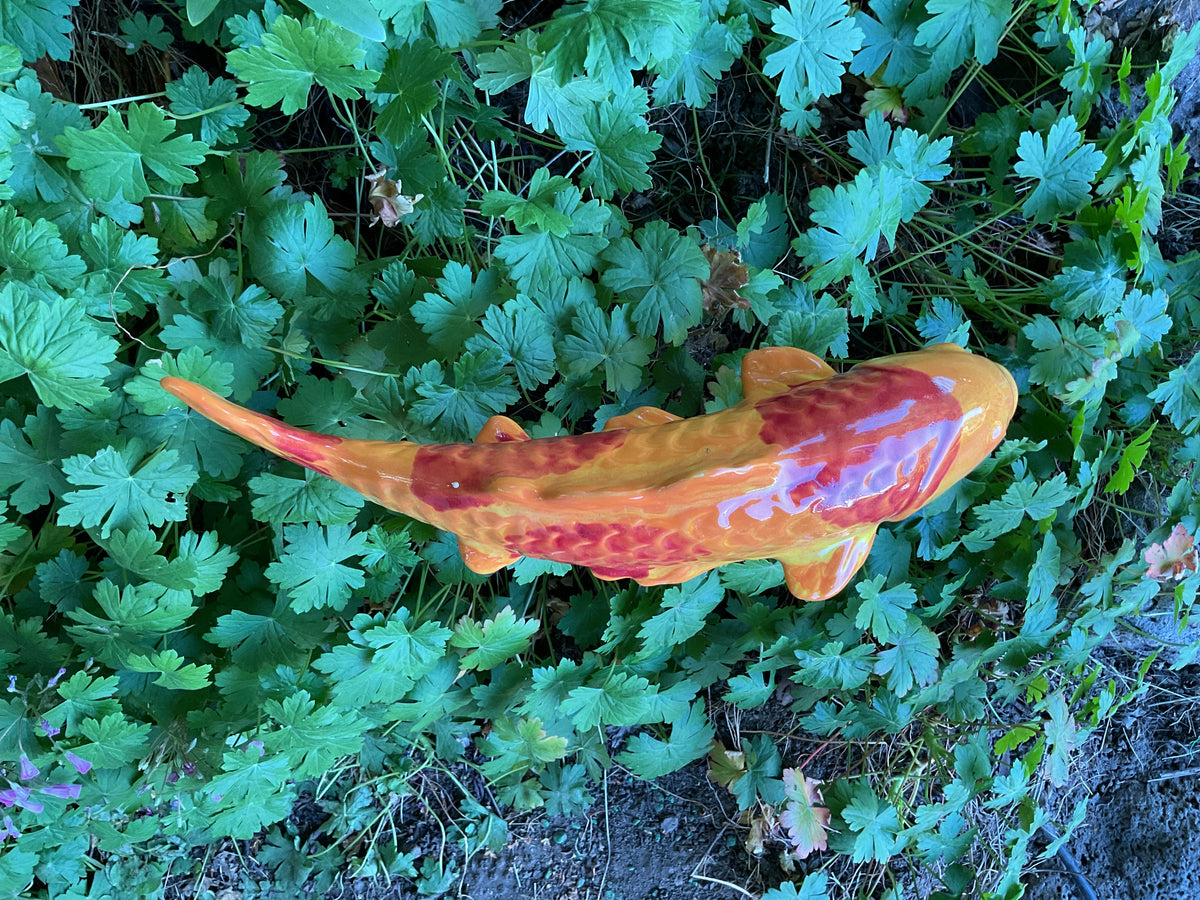 Koi Fish - Persimmon, Ceramic Garden Sculpture by JJ Potts – GardenArt.com