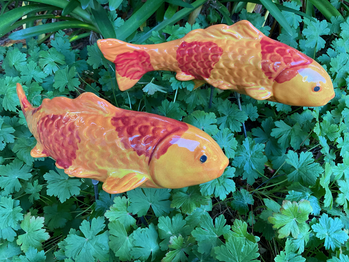 Koi Fish - Persimmon, Ceramic Garden Sculpture by JJ Potts – GardenArt.com